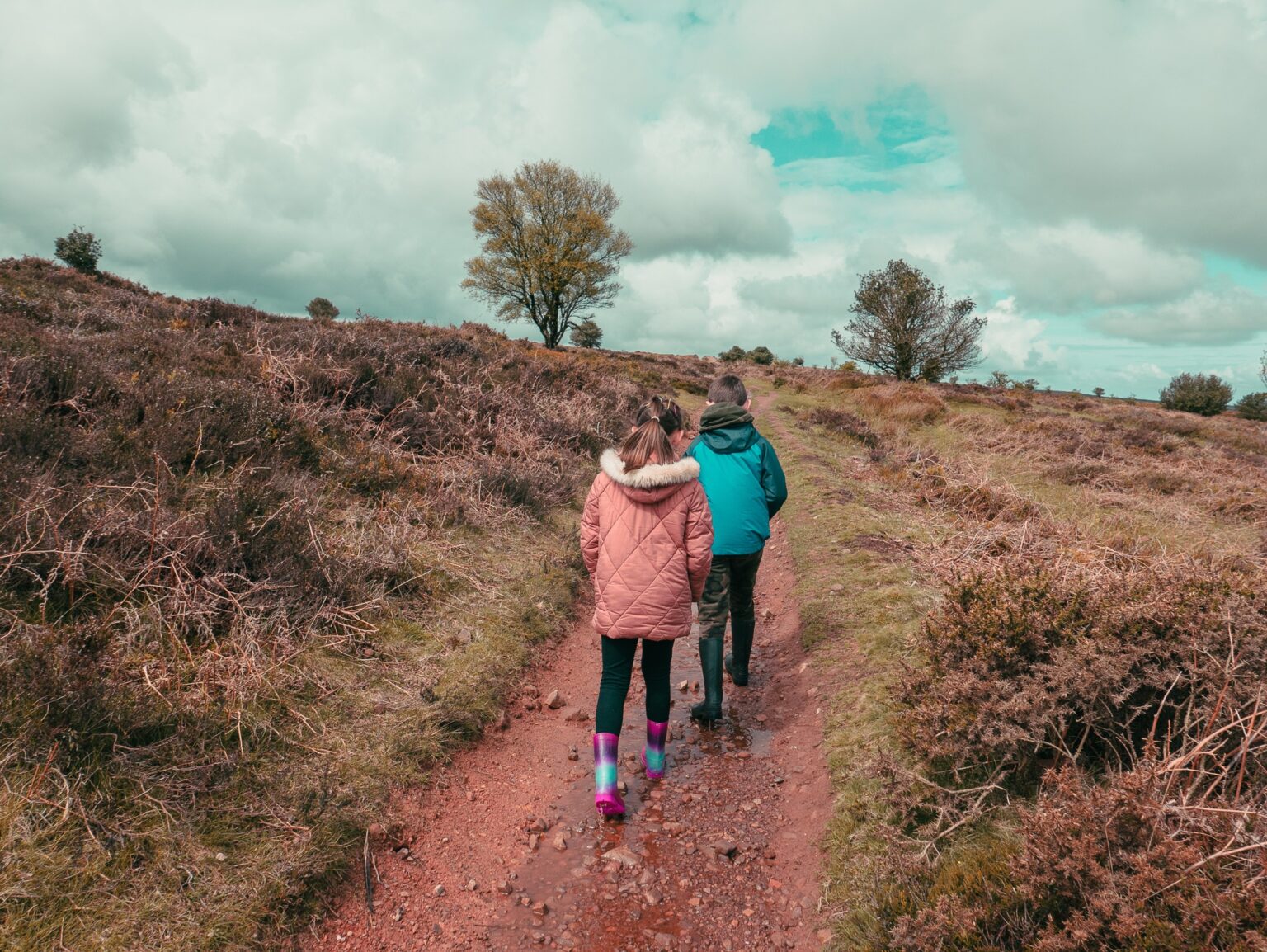 Quantock Craft Resources - QLPS, Quantock Landscape Partnership Scheme